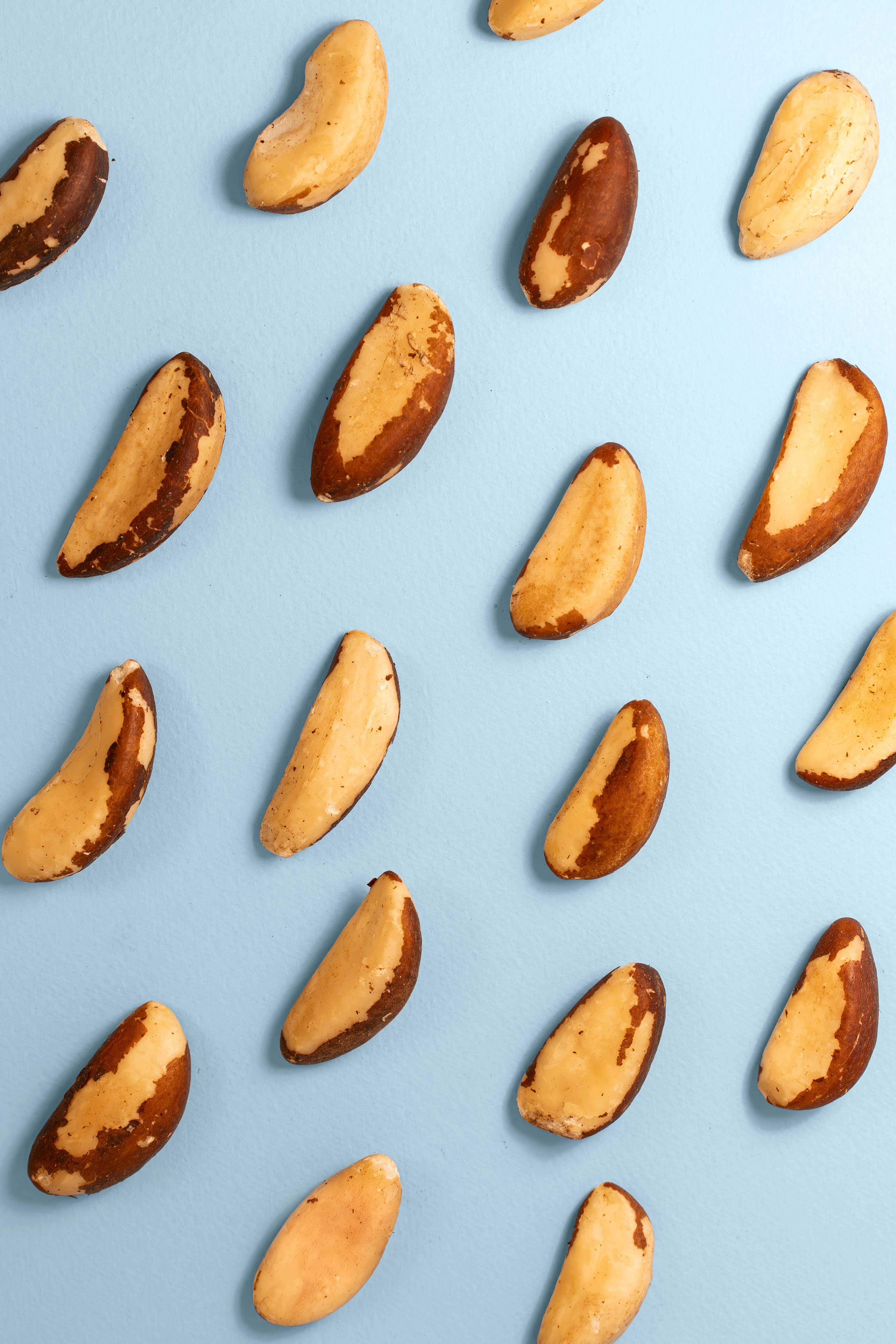 Premium Brazil Nuts – RPC FOOD